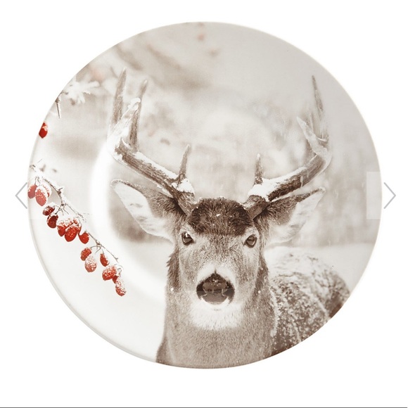 Pier 1 | Dining | Pier Winter Forest Buck Salad Plate | Poshmark